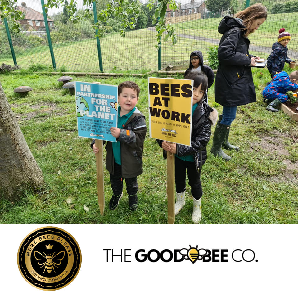 School Visits – More Bees Please Shop