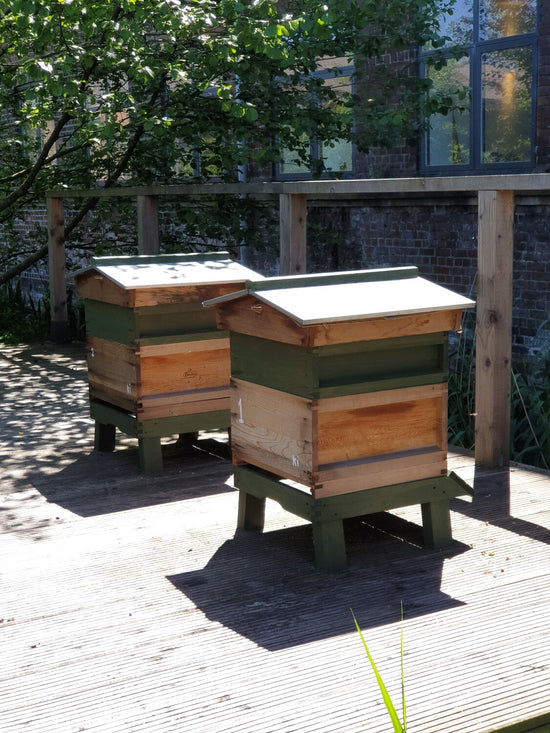 Corporate Hive Hire – More Bees Please Shop