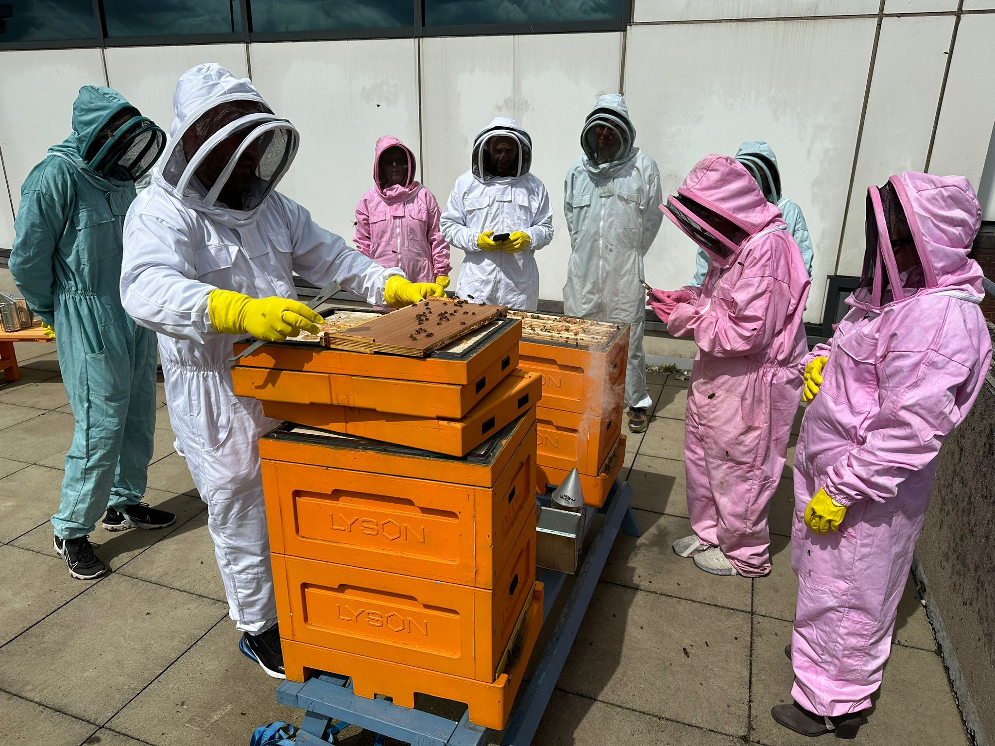 Beekeeping Experience Sheffield - Half Day – More Bees Please Shop