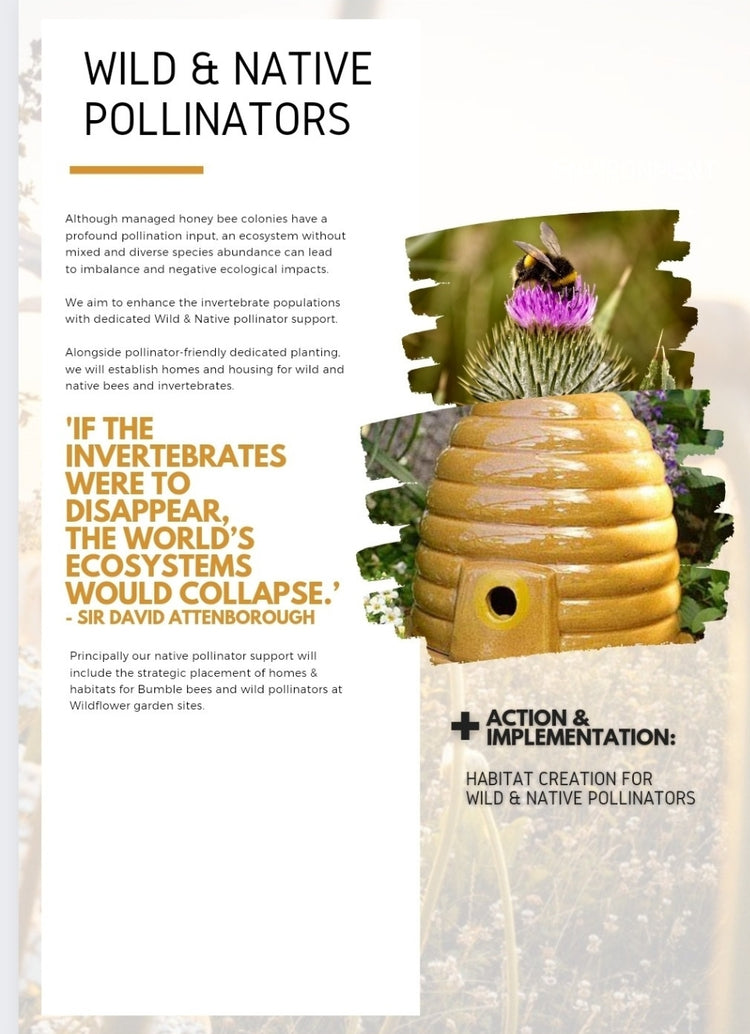 Corporate Hive Hire – More Bees Please Shop