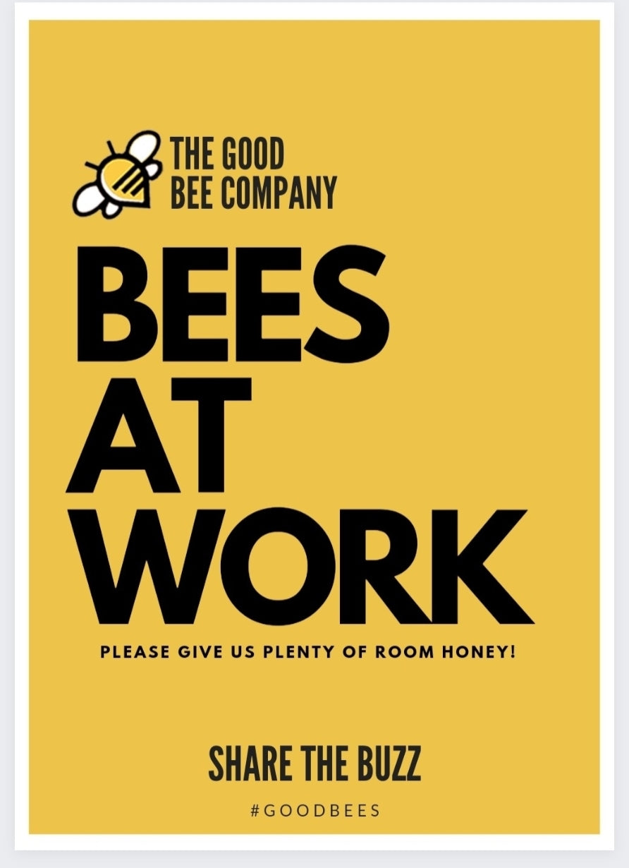 Corporate Hive Hire – More Bees Please Shop