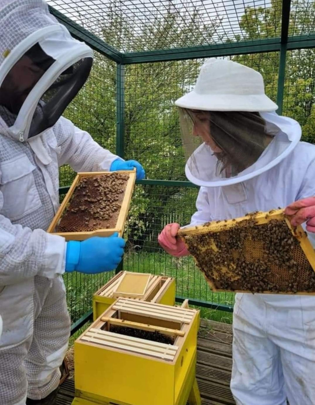 School Hive Management – More Bees Please Shop
