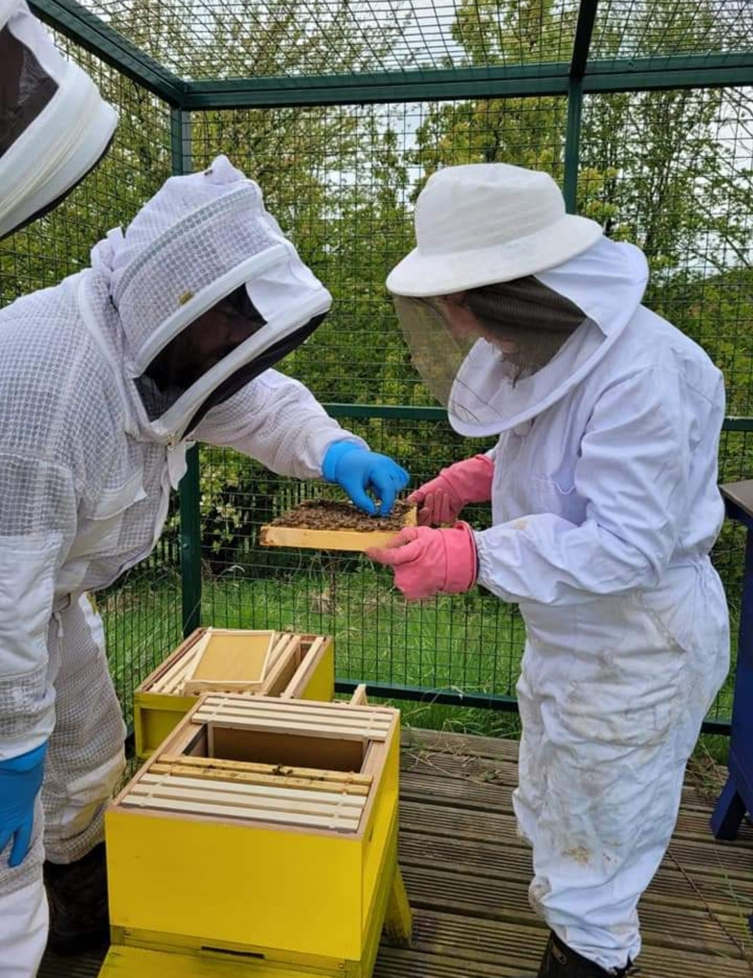 School Hive Management – More Bees Please Shop