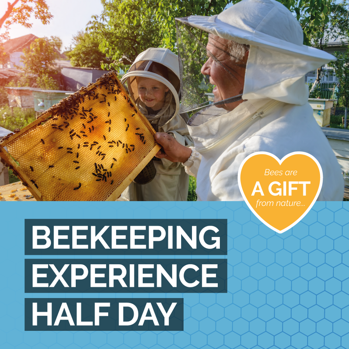Beekeeping Experience Sheffield - Half Day – More Bees Please Shop